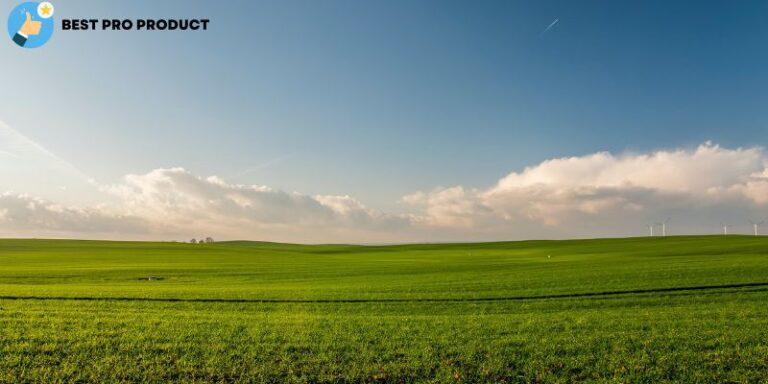 Where Does Garbage Disposal Go? Know the Interesting Facts