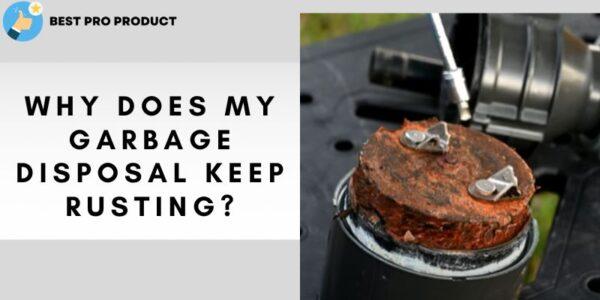 How to Keep Garbage Disposal From Rusting? Helpful Tips